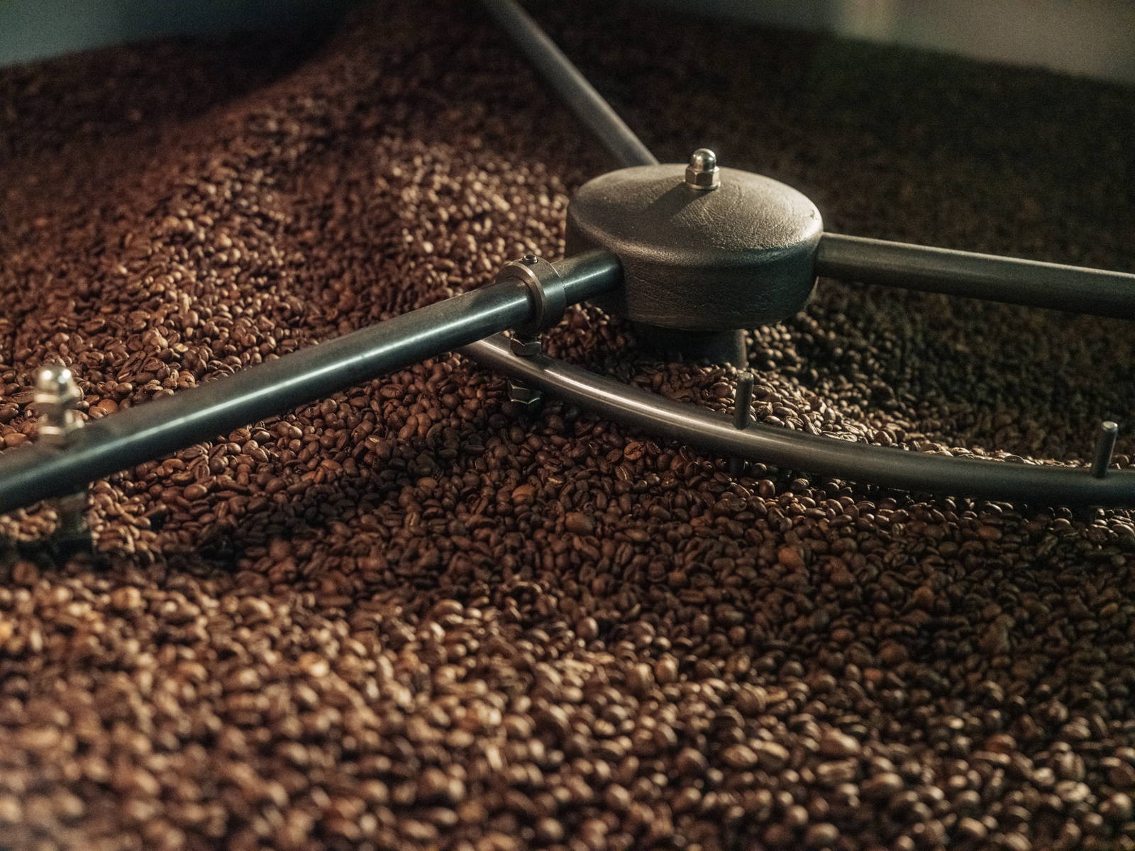 Coffee Circle Probierpakete online kaufen | Coffee Circle