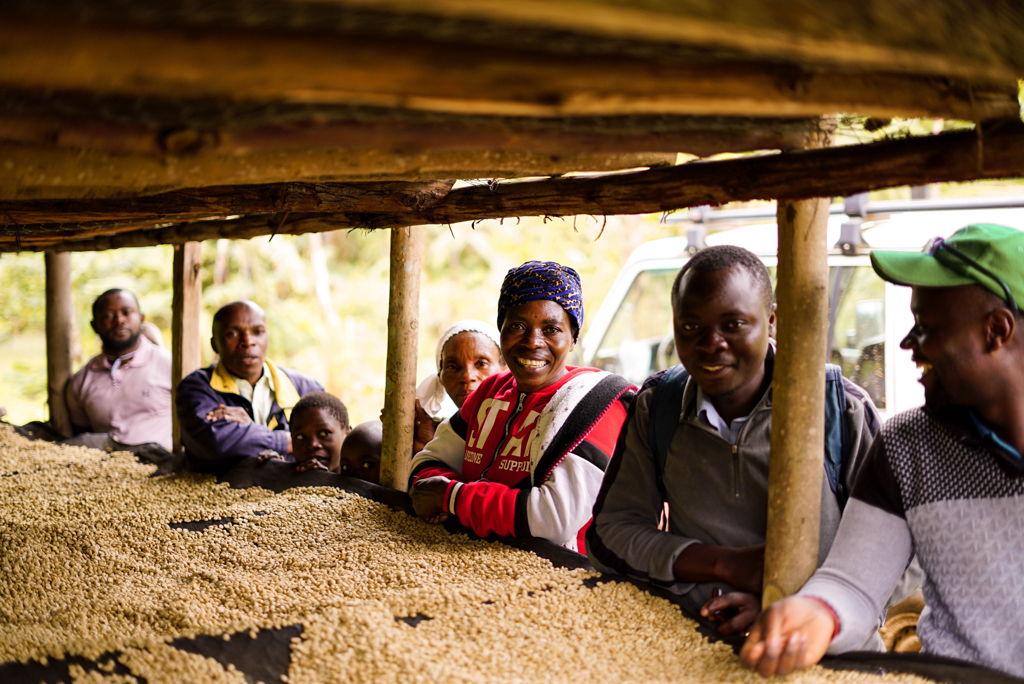 Cupping Lab for 3,500 Coffee Farmers in D.R. Congo | Coffee Circle