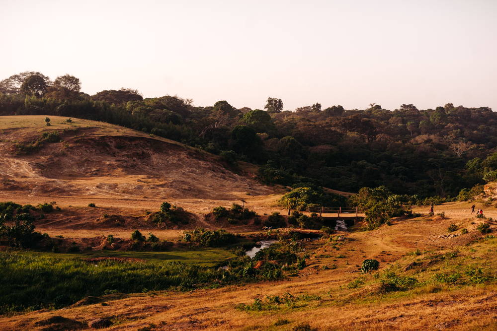 How is coffee grown? Sustainable coffee farming methods | Coffee Circle