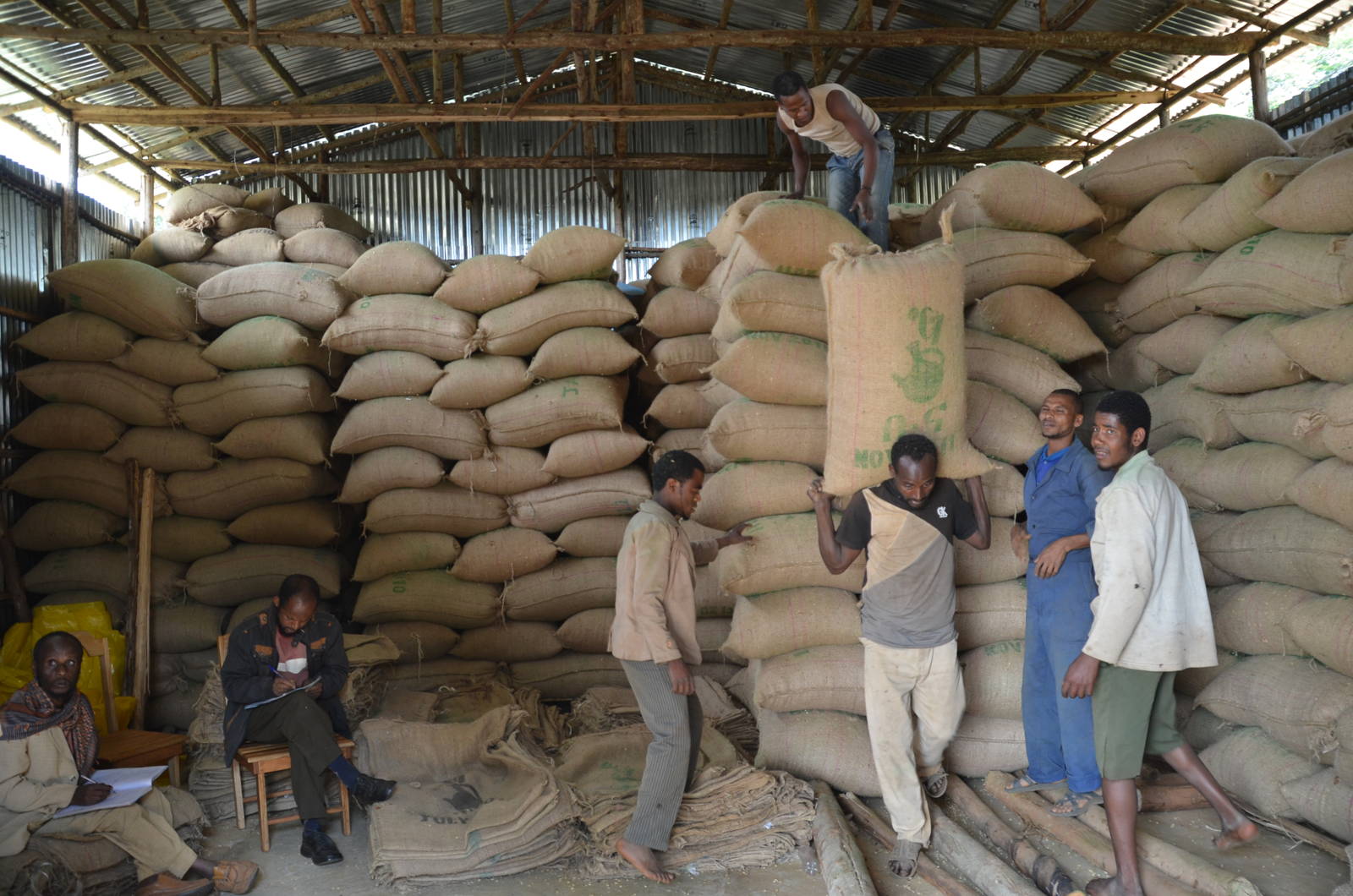 Kaffeetransport — Eine lange Reise von Zuhause | Coffee Circle