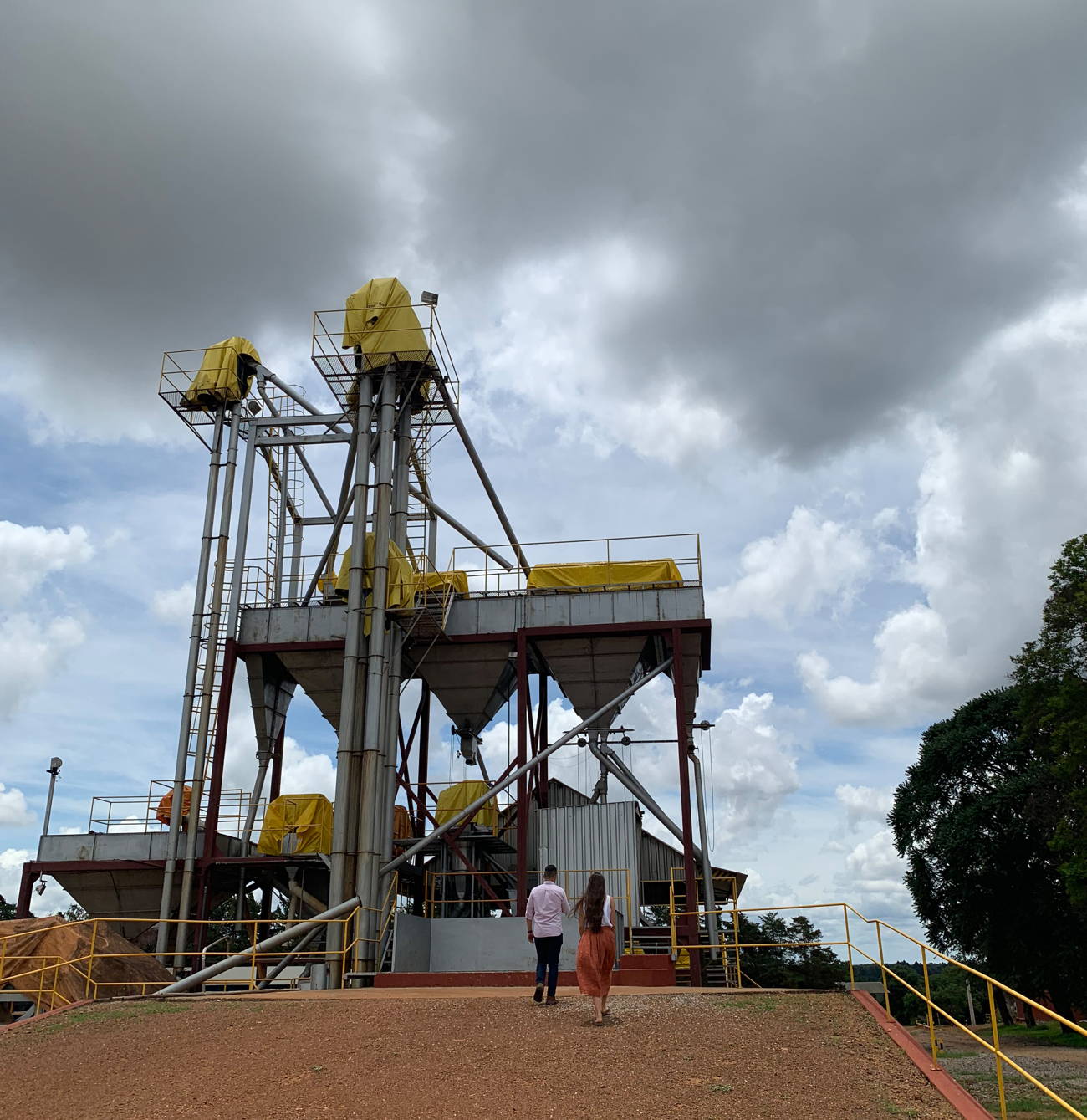 Cerrado brasilianischer Omniroast Kaffee online kaufen | Coffee Circle